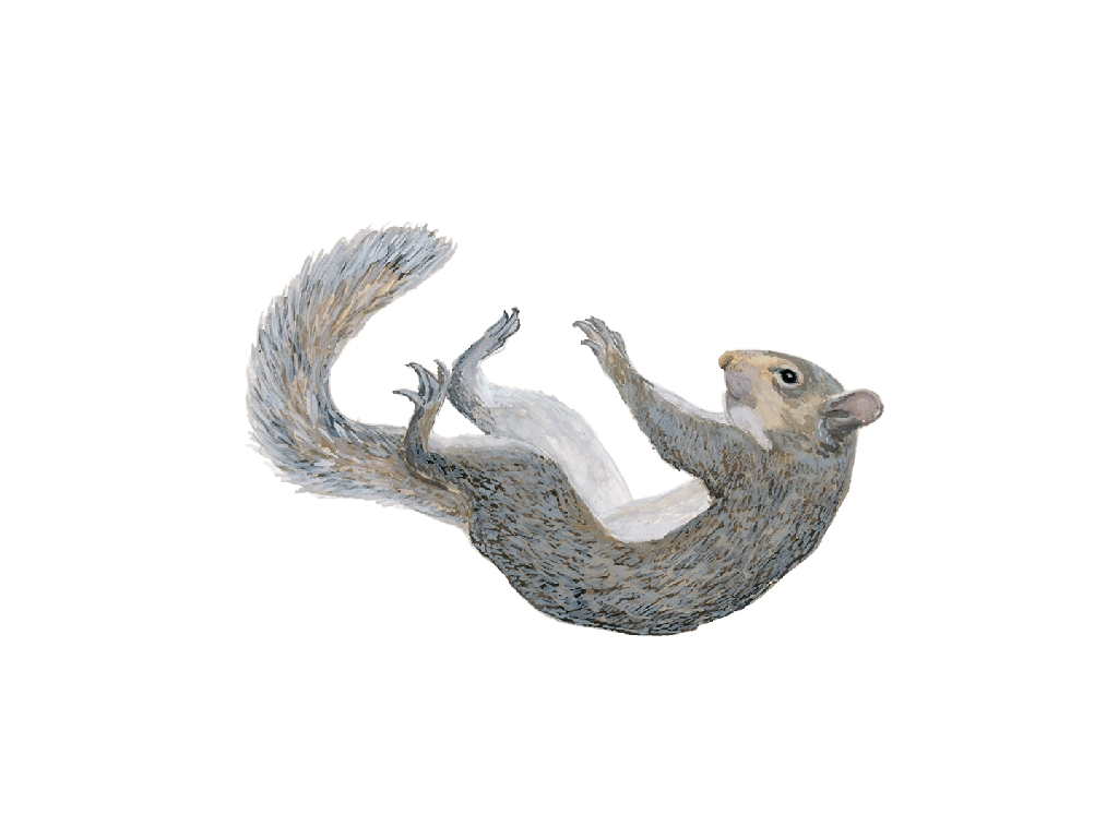 GIF Workshop - SOVA HOW TO - Chantal Rousseau